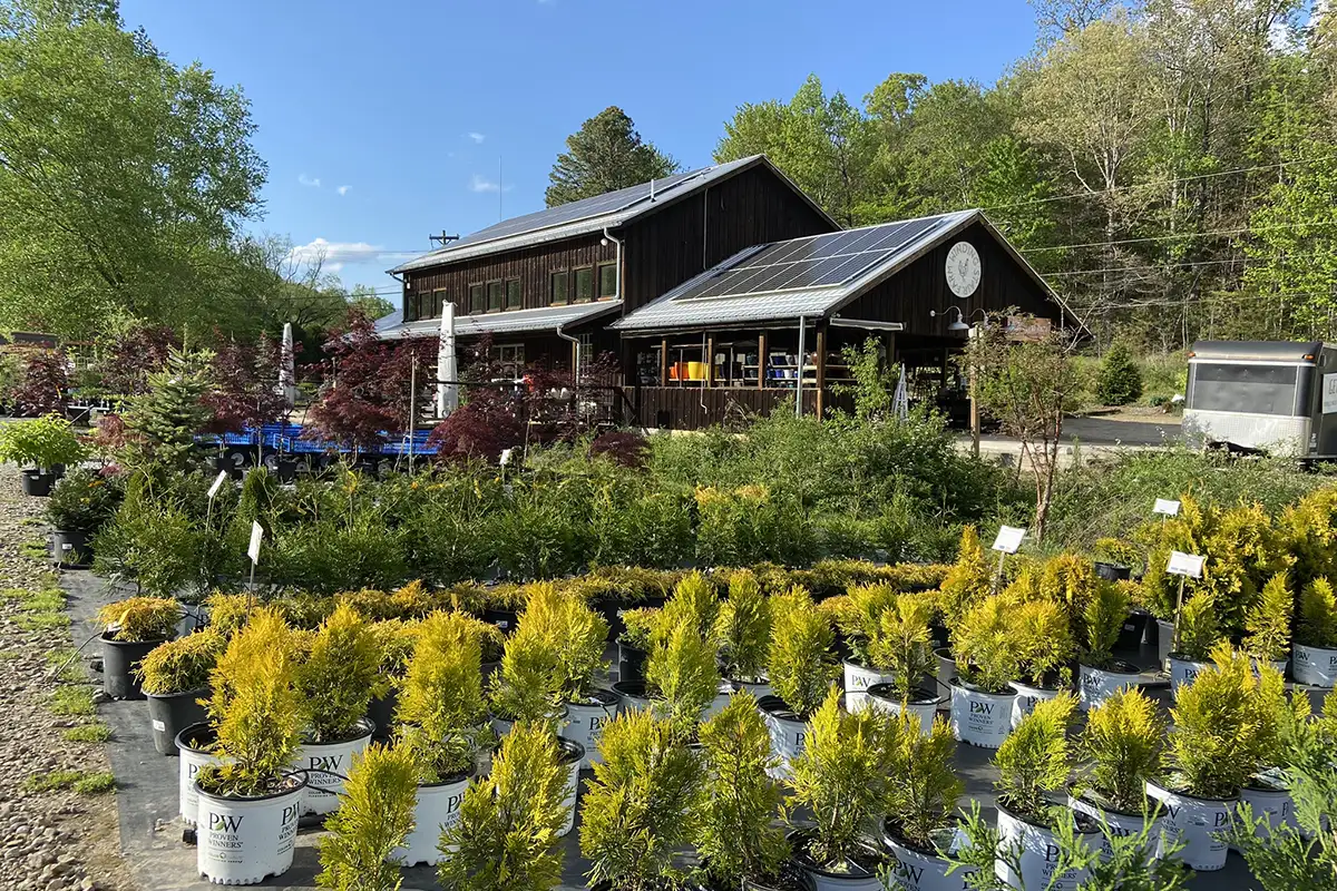 Garden Center Franklin NC | Winding Stair Gardens